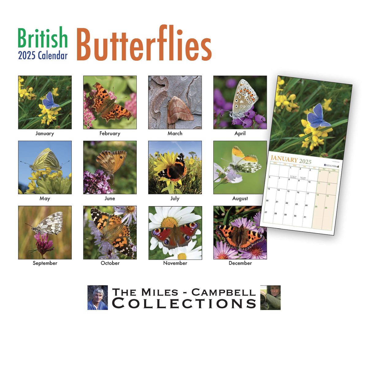 British Butterflies 2025 Calendar by Archie Miles & Laurie Campbell ...