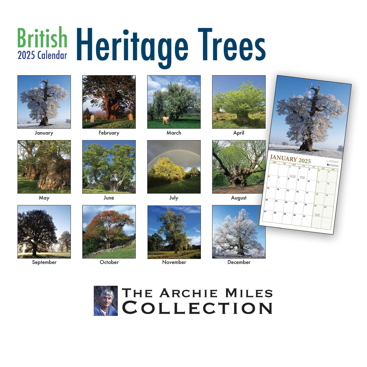 British Heritage Trees 2025 Calendar by Archie Miles – Online Calendar Shop